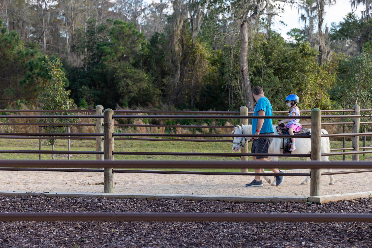 Tri-Circle-D Ranch Pony Rides at Disney's Fort Wilderness Resort