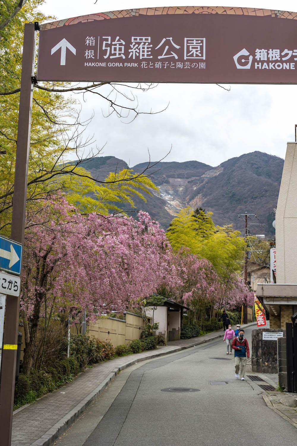 Hakone Ryokan With Private Onsen: Tokinoyu Setsugetsuka | Family on Standby