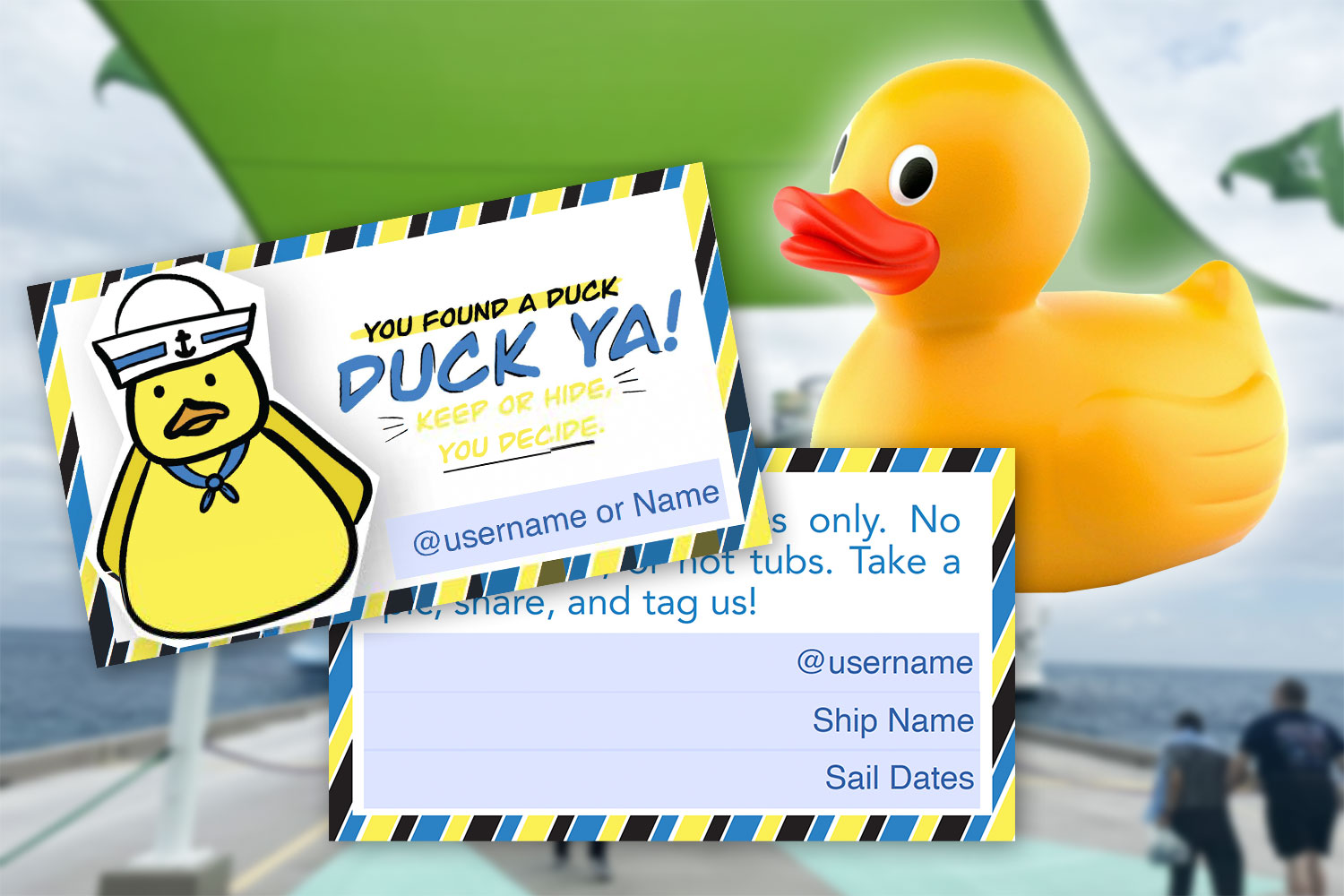Cruising Ducks: Must-Know Tips + Free Custom Tag Template! | Family on ...